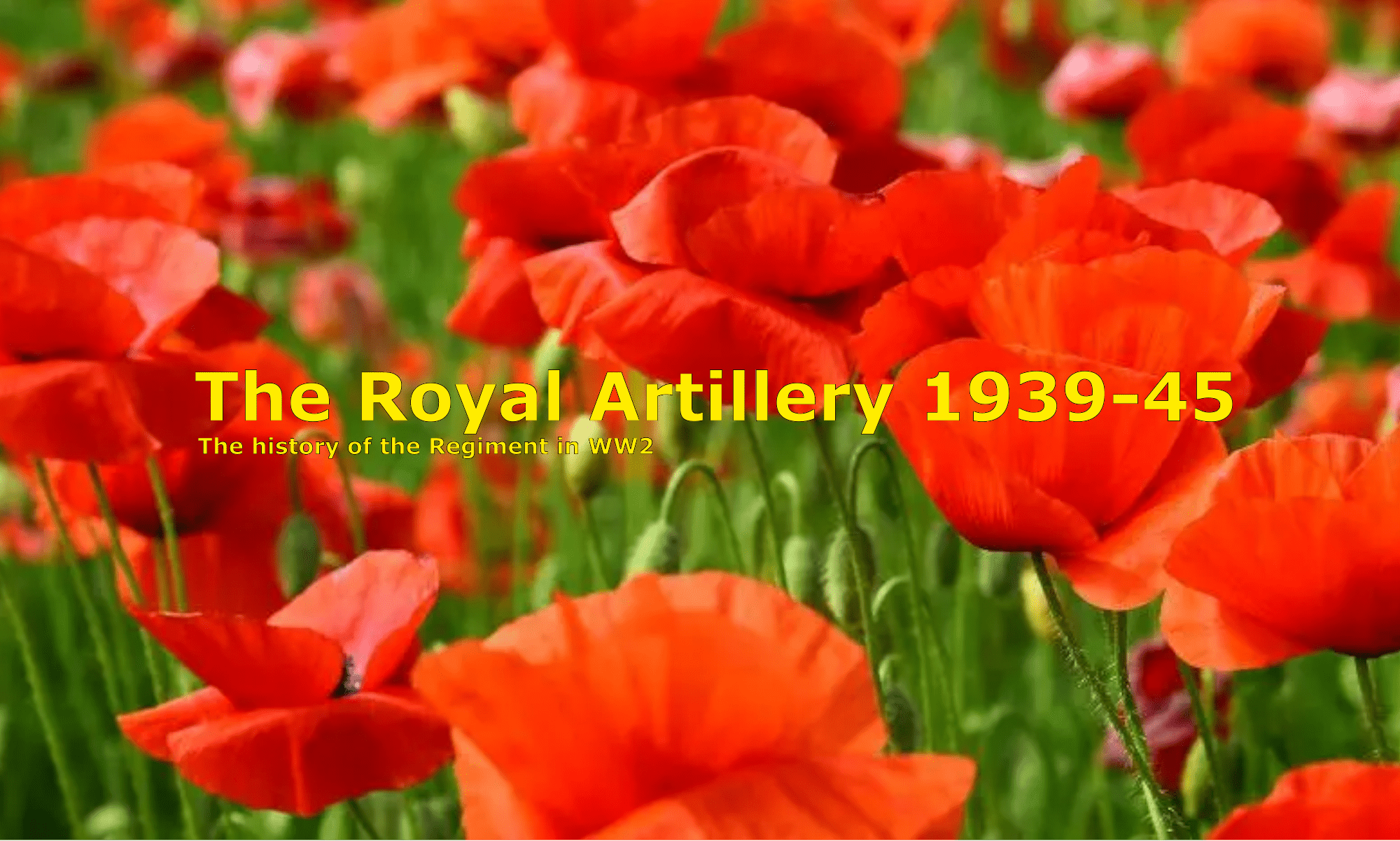 Light Anti-Aircraft Regiments - The Royal Artillery 1939-45